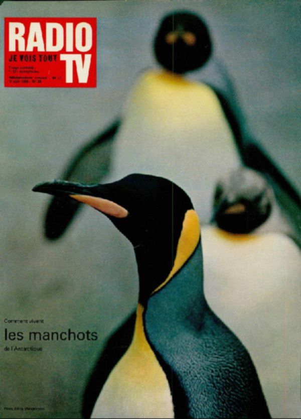 Radio TV - Je vois tout | Scriptorium